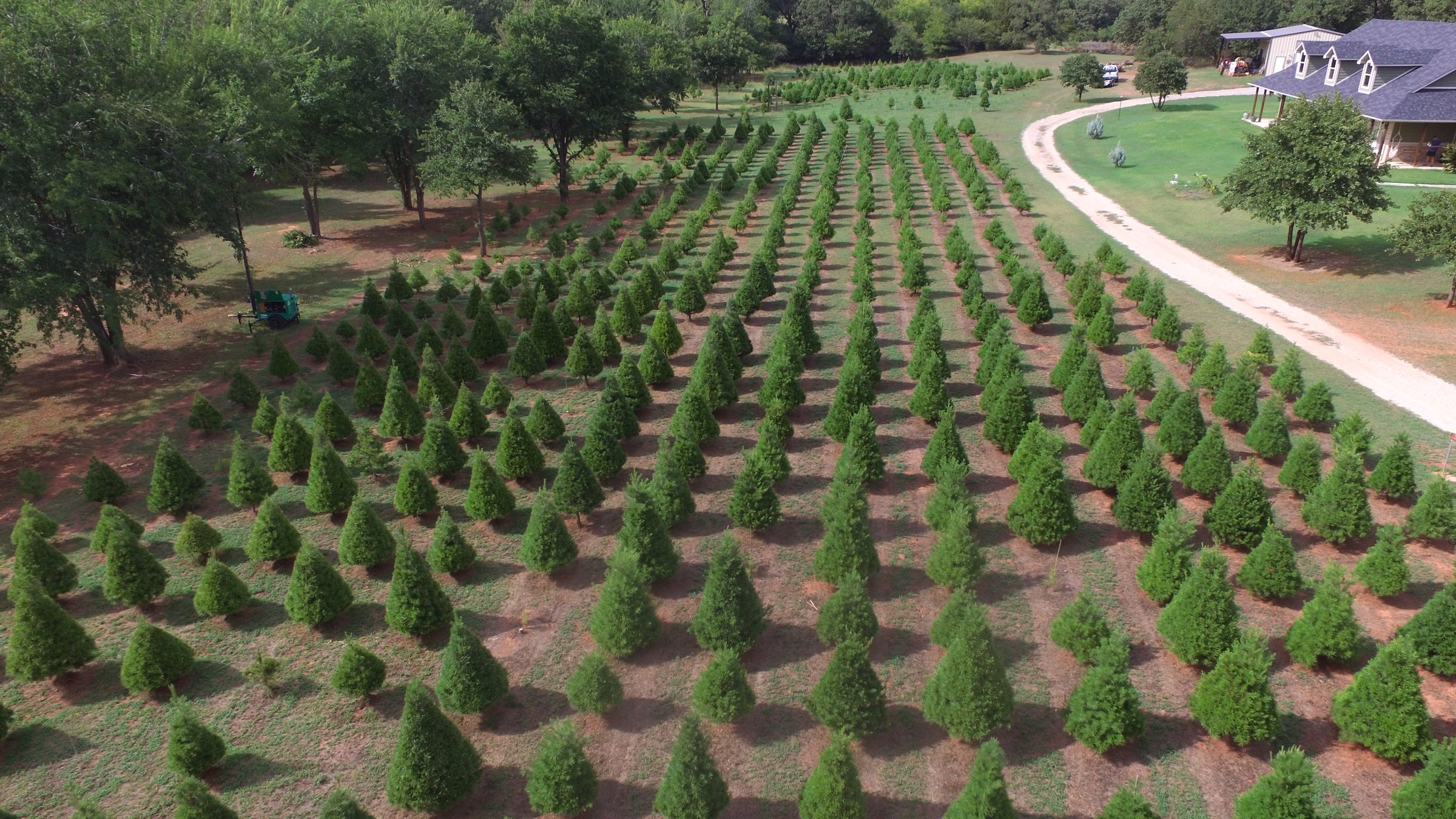 Our Story: How Wells Christmas Tree Farm Began